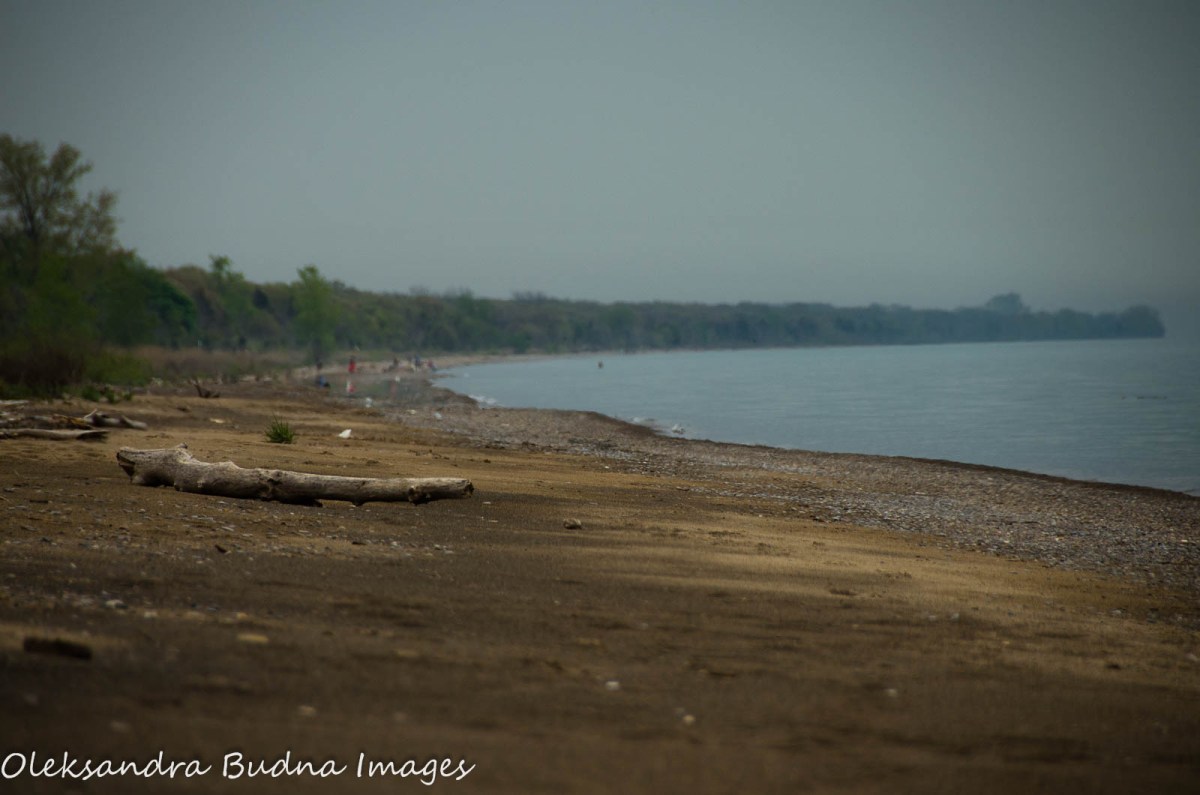 Camping in Canada’s “deep south”: Wheatley Provincial Park, Point Pelee ...