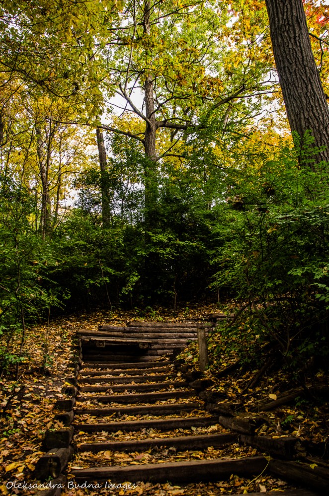 Adventures Close to Home: Fall Hike in High Park | Gone Camping