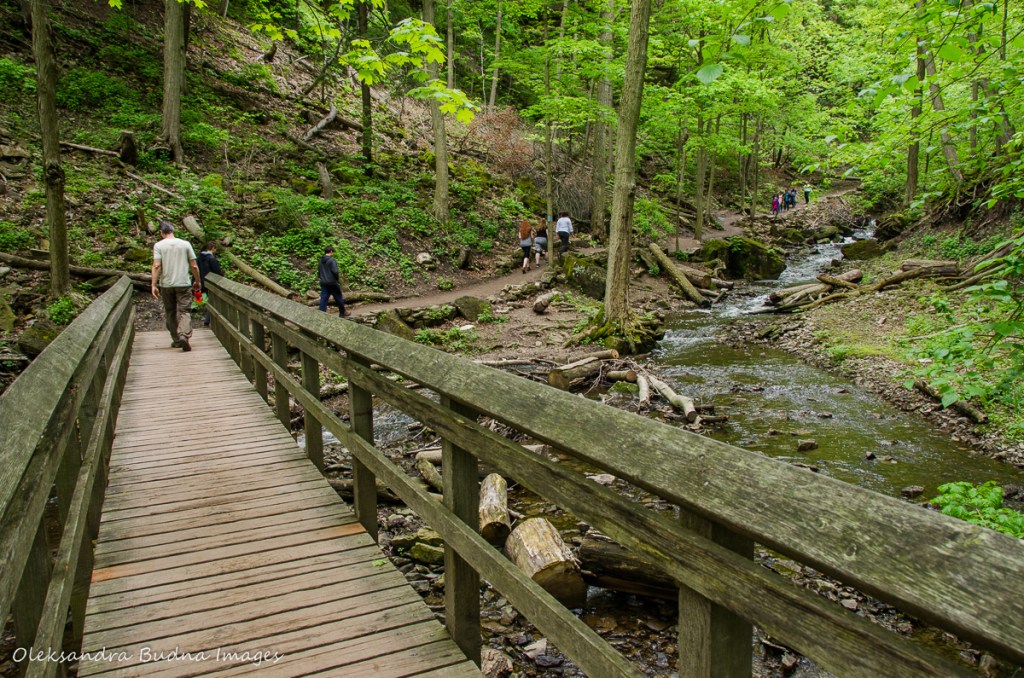 Chasing waterfalls along Bruce Trail | Gone Camping