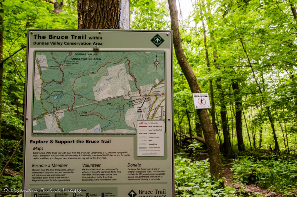 Chasing waterfalls along Bruce Trail | Gone Camping