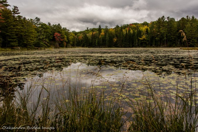Lakeshore Trail at last: hiking at Silent Lake Provincial Park | Gone ...