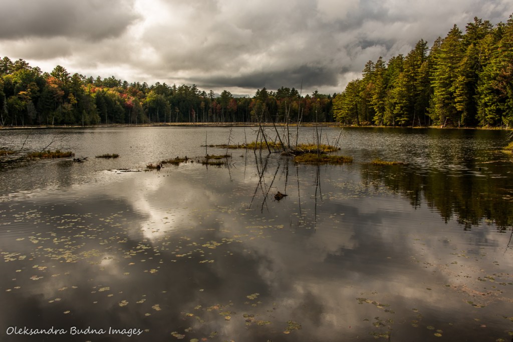 Lakeshore Trail at last: hiking at Silent Lake Provincial Park | Gone ...