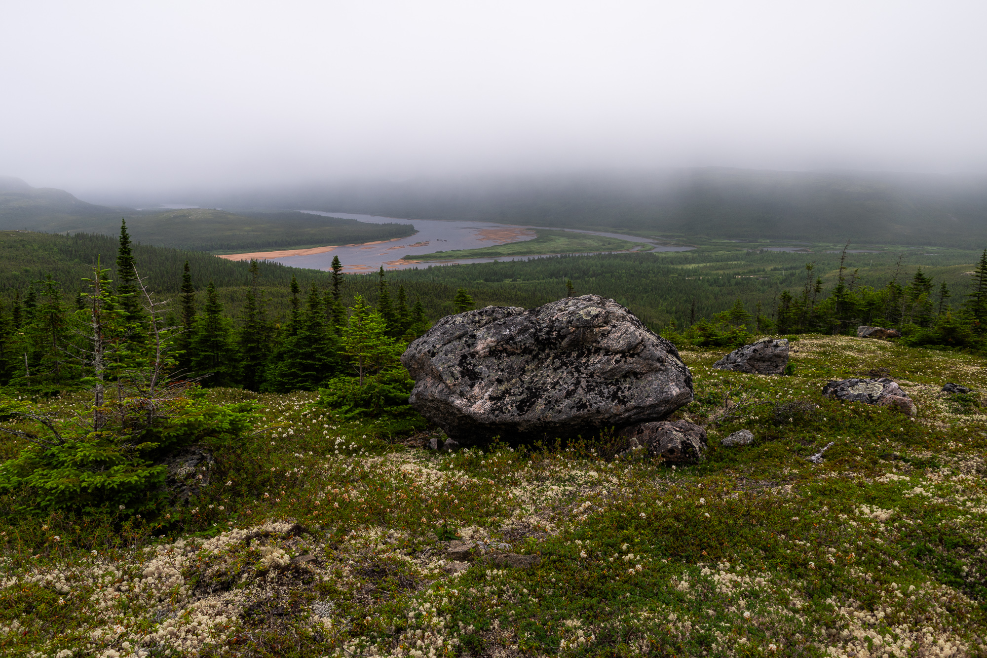 Gone Camping | Lessons from the tent